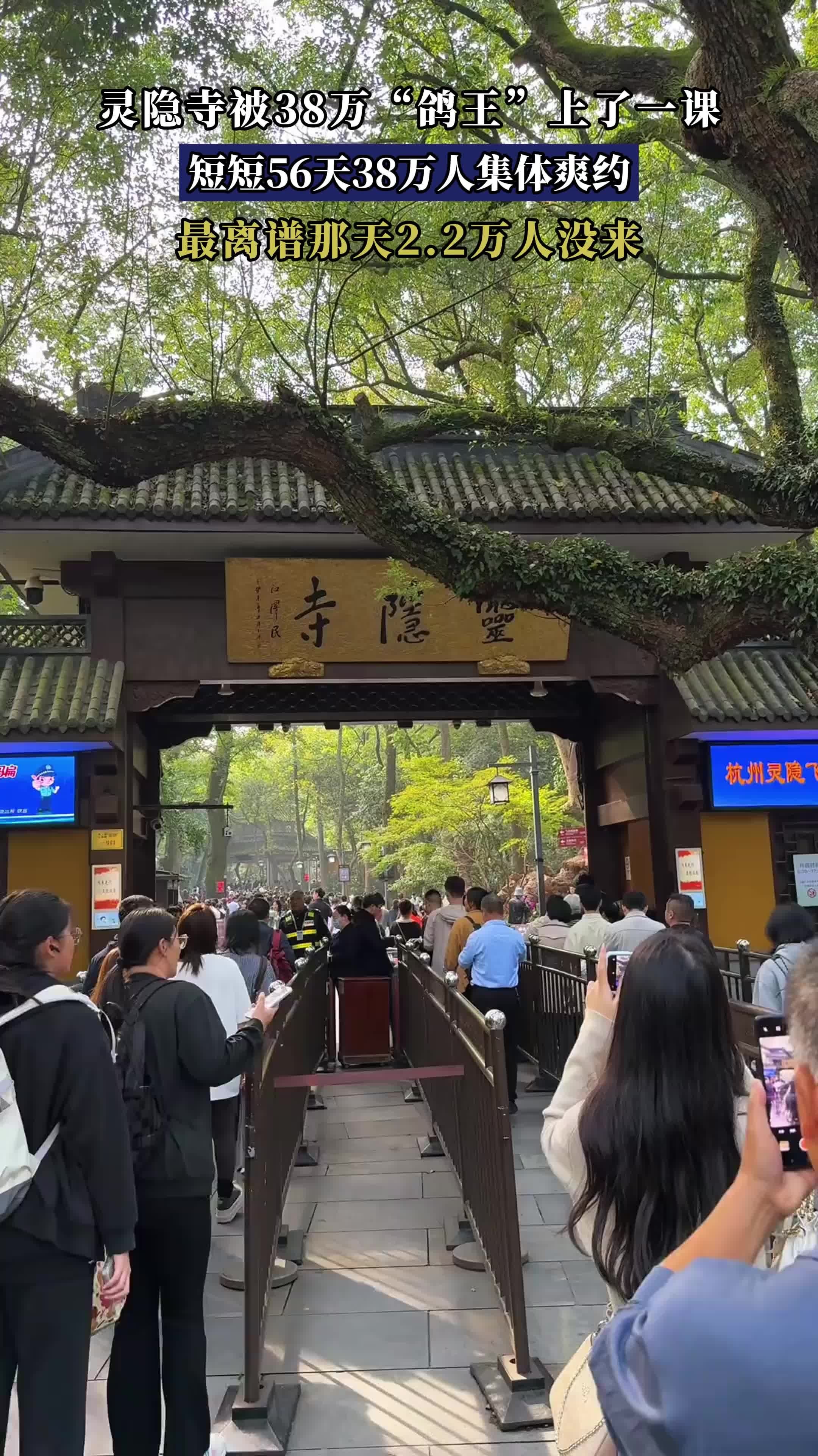 灵隐寺被38万"鸽王"上了一课,短短56天38万人集体爽约