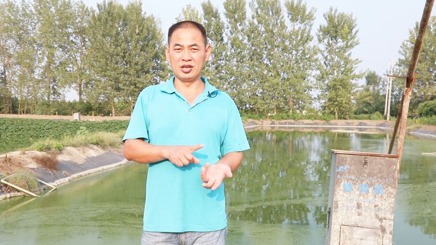 鱼缸需要清洗消毒没药品,该怎么办?强哥教你一招解决问题