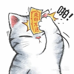 兔宝的专属小番茄 