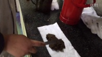 中药膏制作过程