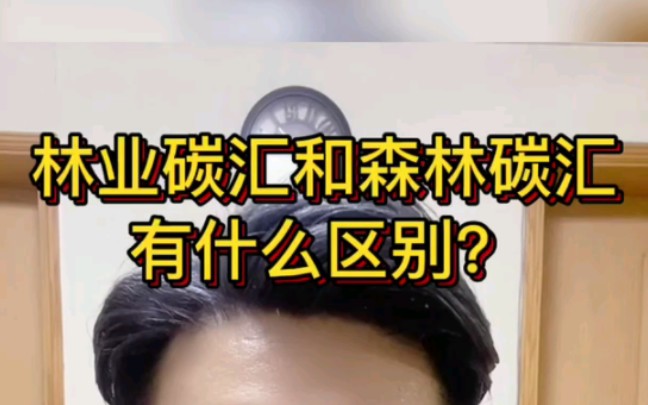 林业碳汇和森林碳汇有什么区别?