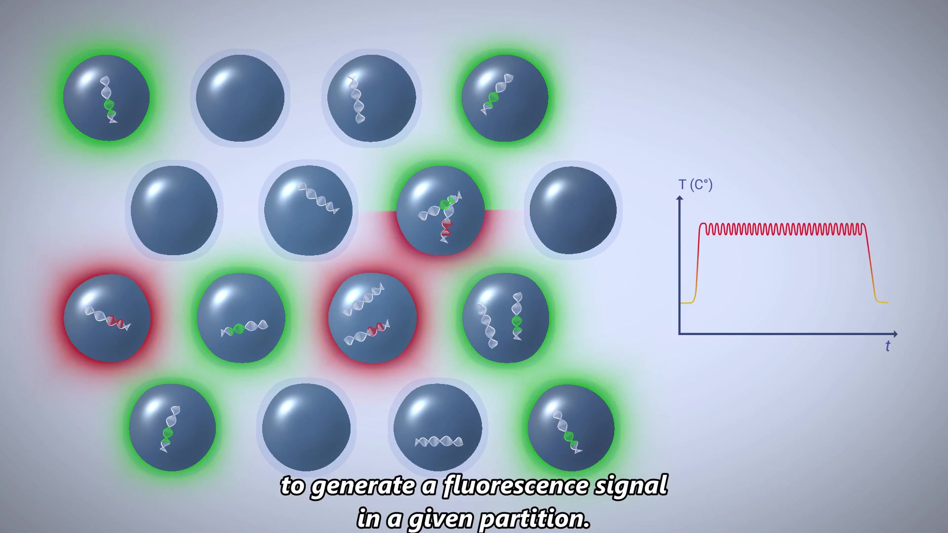 Digital PCR Principle & Advantages 数字PCR(dpcr)