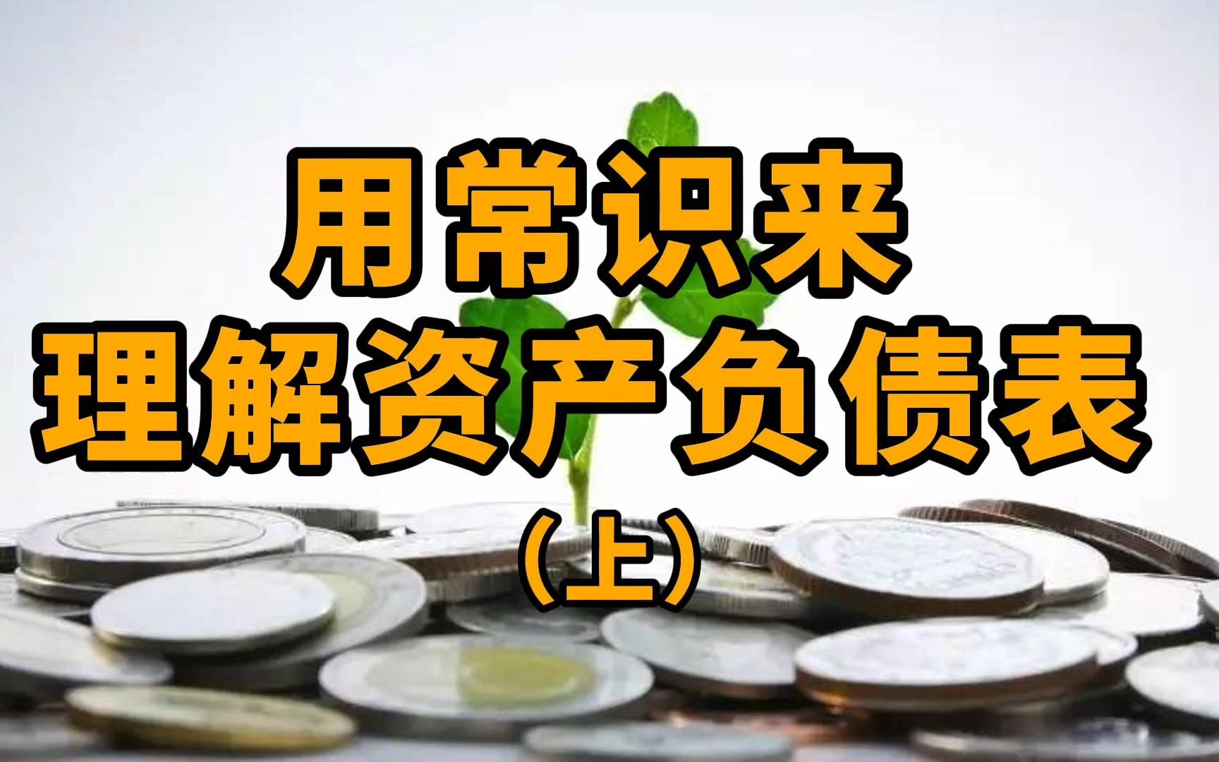 如何看懂企业的资产负债表?只需常识,再加一个案例就够了:洞悉资产...