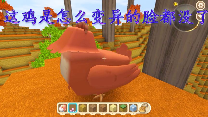 迷你世界:小雨的变异飞鸡飞不起来难道是小雨太胖了