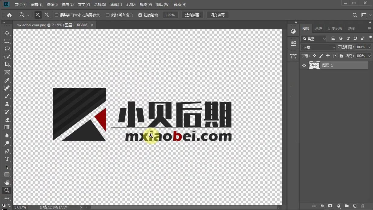 Photoshop CC 2019 全套基础入门教程(上)