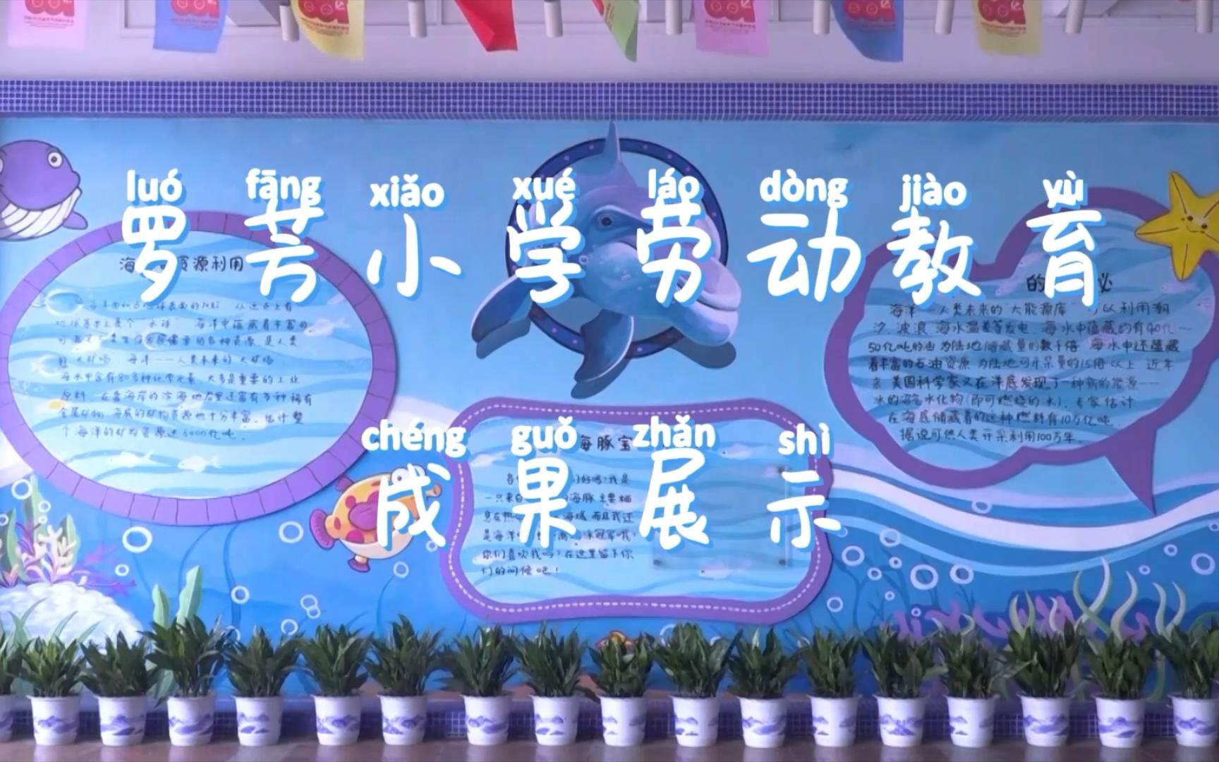 罗芳小学_家庭劳动展示视频