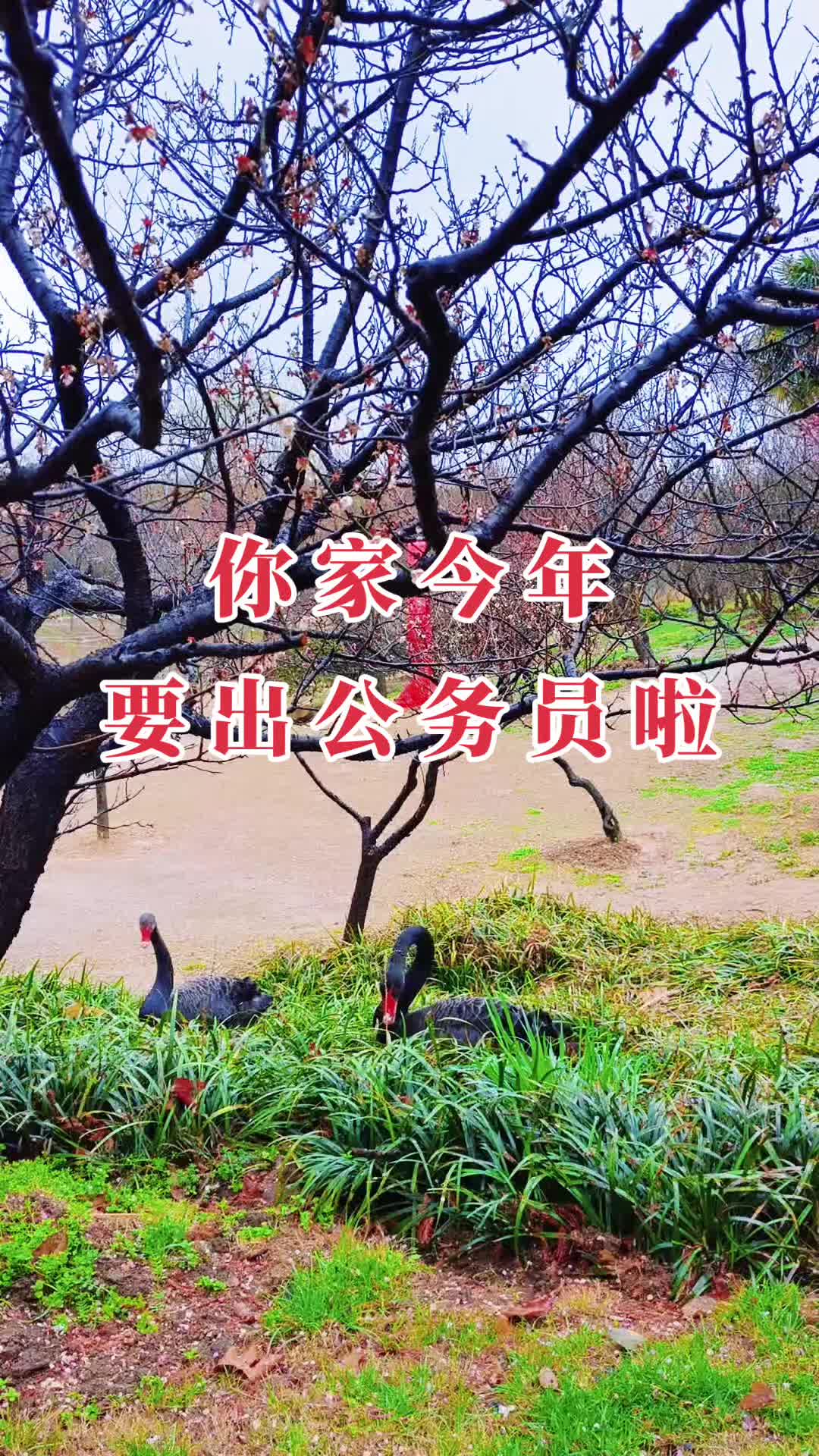 3.14省考,成功上岸!#公务员 #省考 #3.14省考 #联考 #上岸