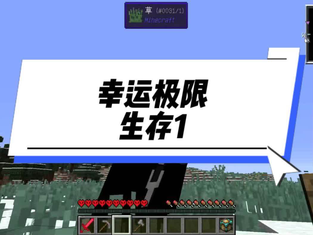 幸运极限生存1运气好就是叶枫 #叶枫的日常 #我的世界