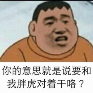 爱整活的胖虎 