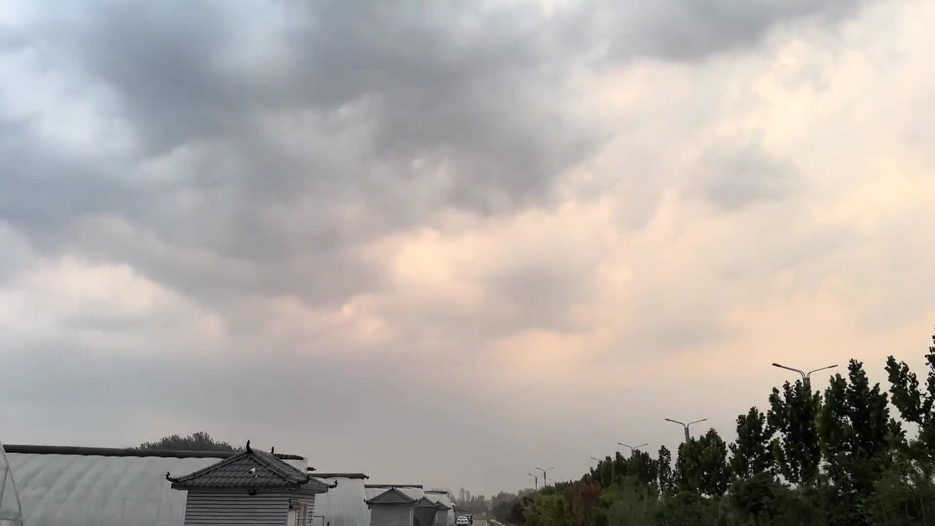 昨晚狂风卷积着乌云,雨还是没下来,地旱,爬蚱今年出土的晚了点