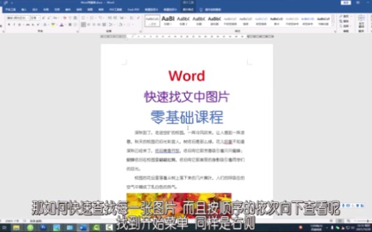 Word快速找到文中图片,按顺序依次查看,零基础教学课程
