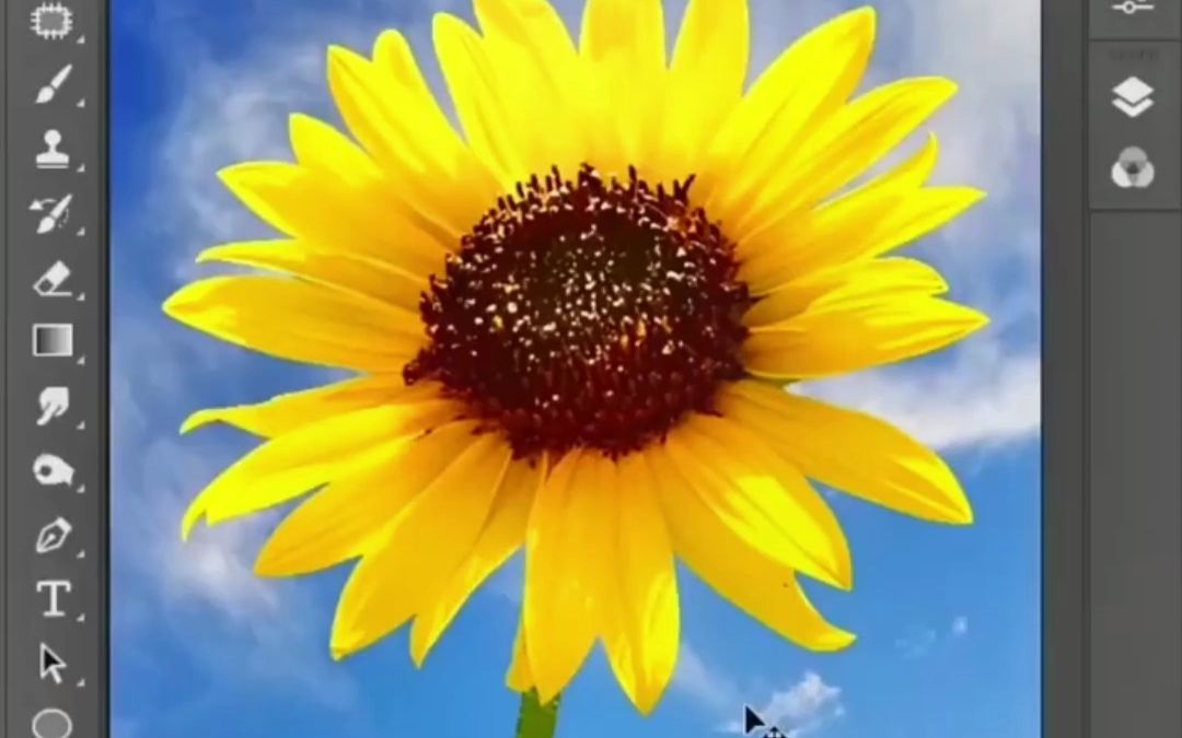 通道抠图的使用方法和教程~