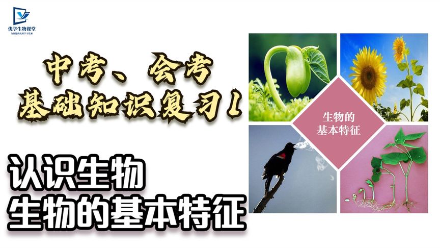 中考、会考基础知识复习1,认识生物,掌握生物的基本特征。