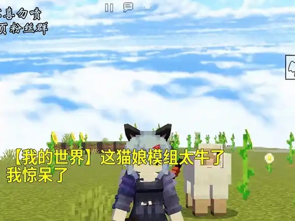 我的世界 这猫娘模组太牛了,我惊呆了!
