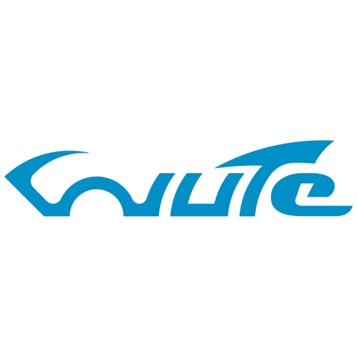 武汉理工WUTE电车队 