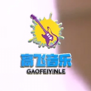 高飞音乐传媒 