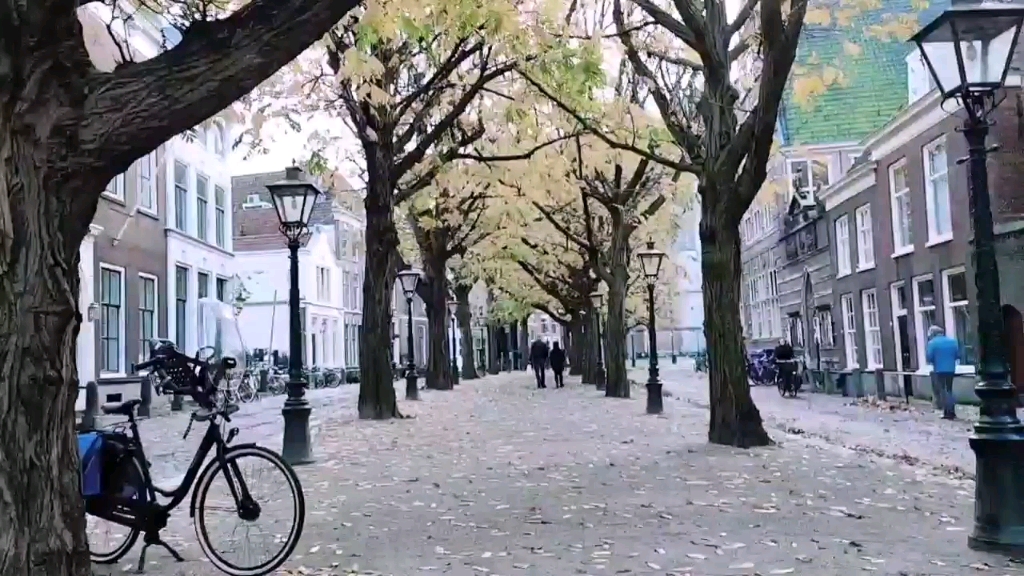 荷兰读个博,顺道拿个欧盟绿卡,百强大学,瓦赫宁根大学研究方向:行为...