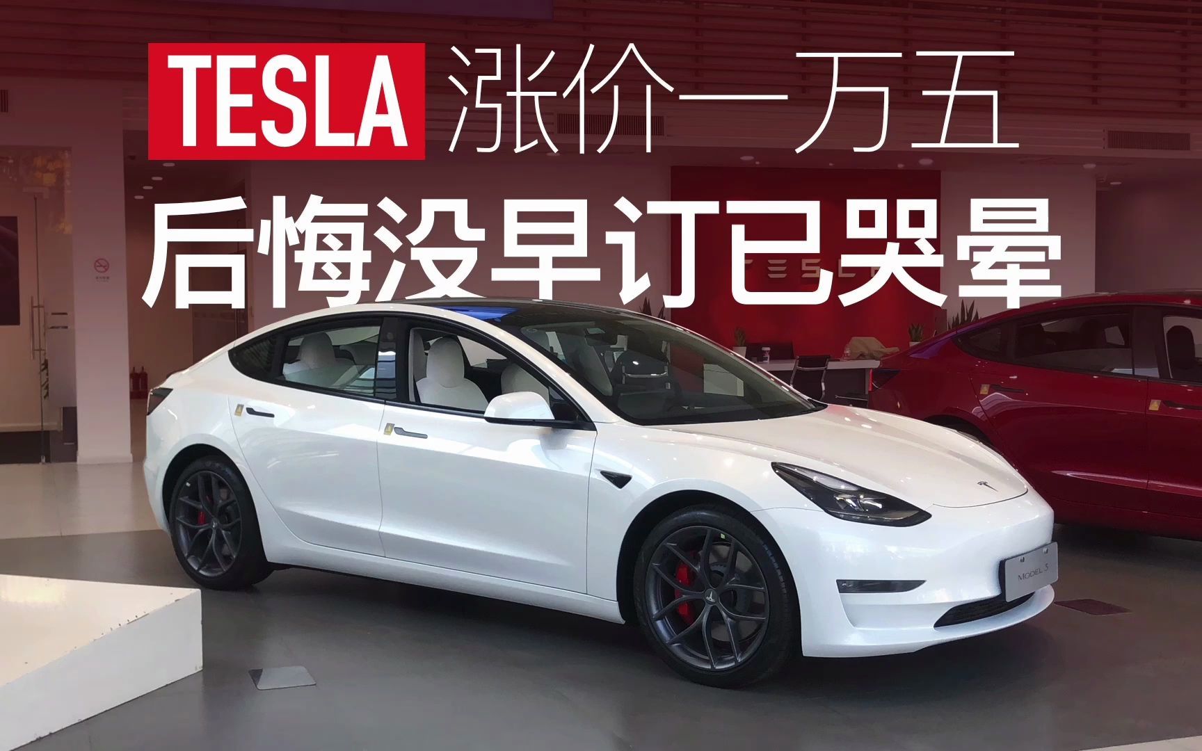 2022款特斯拉model3涨价了,等等dang哭晕在wc