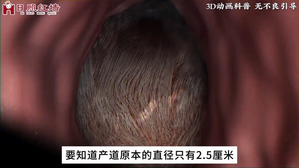 女性分娩,生孩子的过程,孕产科普