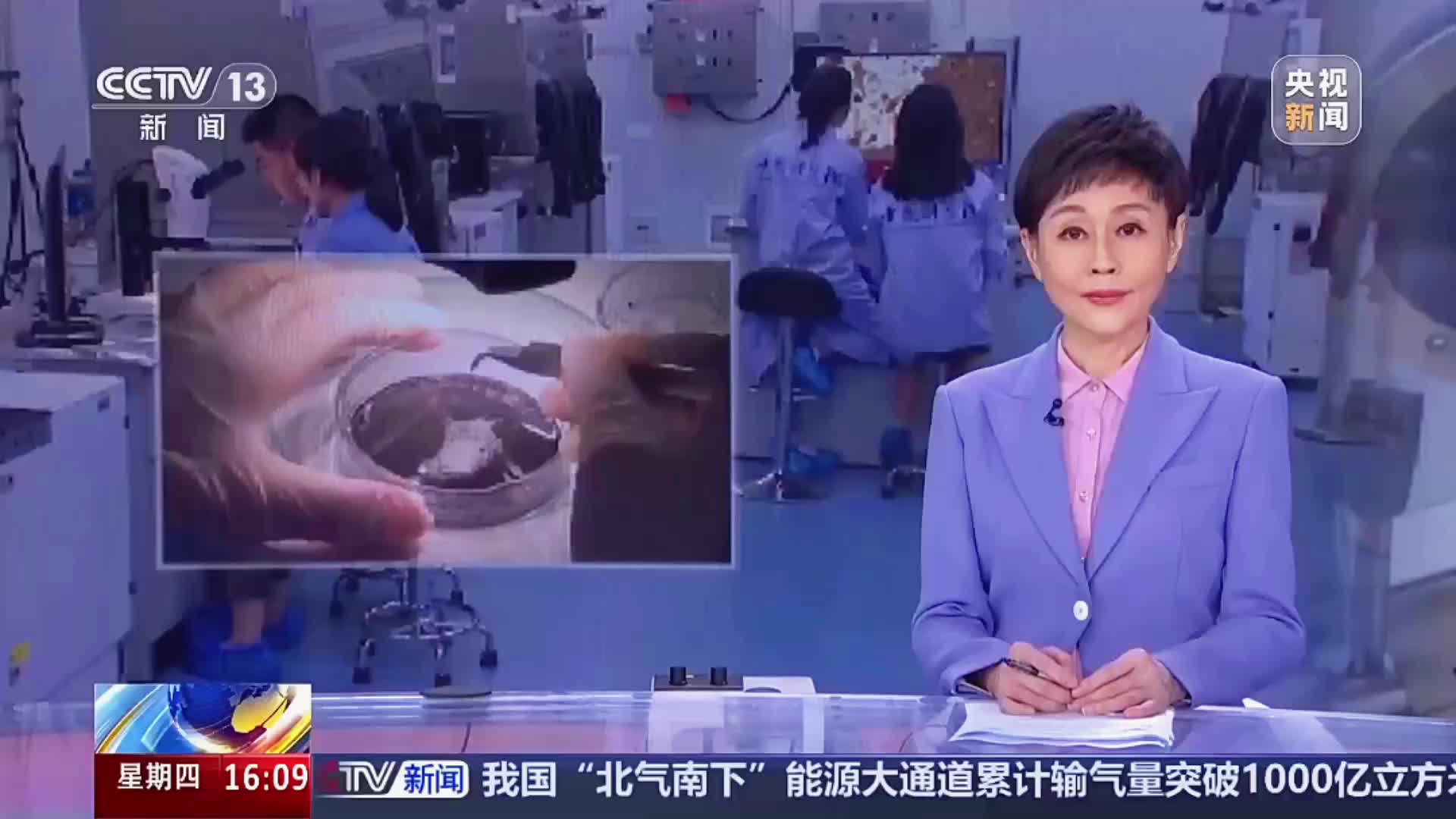 好的呀本姑娘期待明年的嫦娥七号呀,一起守护期待小嫦娥呀可真棒...