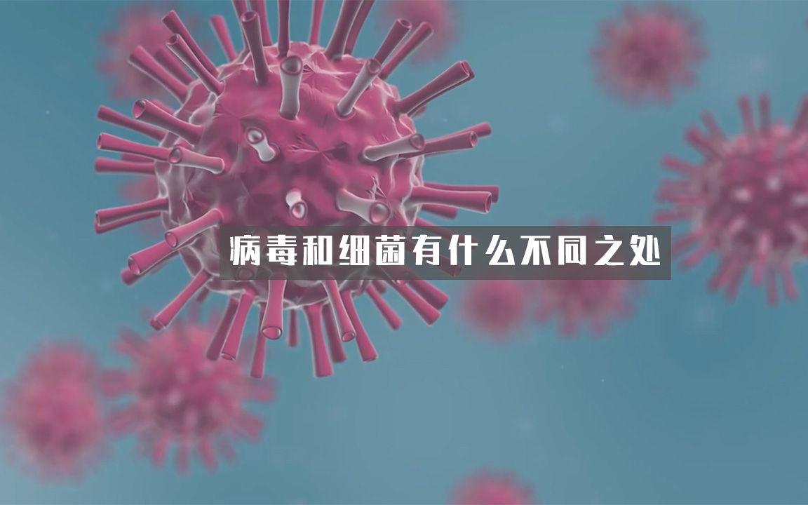 病毒和细菌有什么不同之处?微生物科普