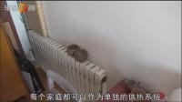 老小区暖气不热有啥好办法? 串改并可提高供热效果