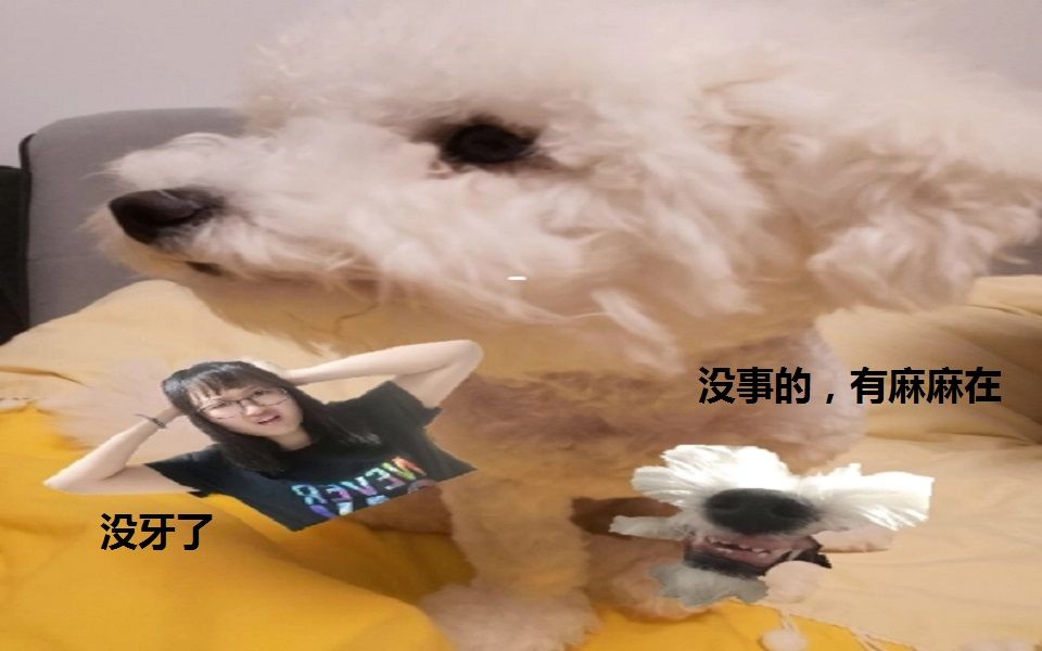毛毛怎么啦?乖,没事的~