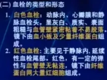 病理学(6)血栓形成
