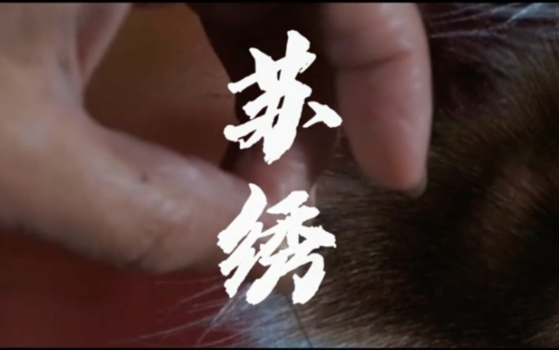 【五个一:以行寓怀】扎根文化觅金丝,绣好时代双面绣