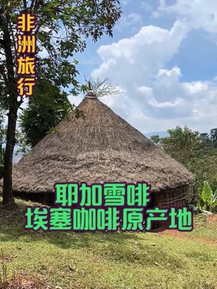 咖啡起源耶加雪啡,走兄弟们一起去原产地看看 埃塞俄比亚