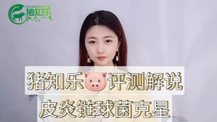 猪场链球菌的克星—橡皮膏(实惠实用)