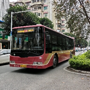 南宁白马公交205路车 