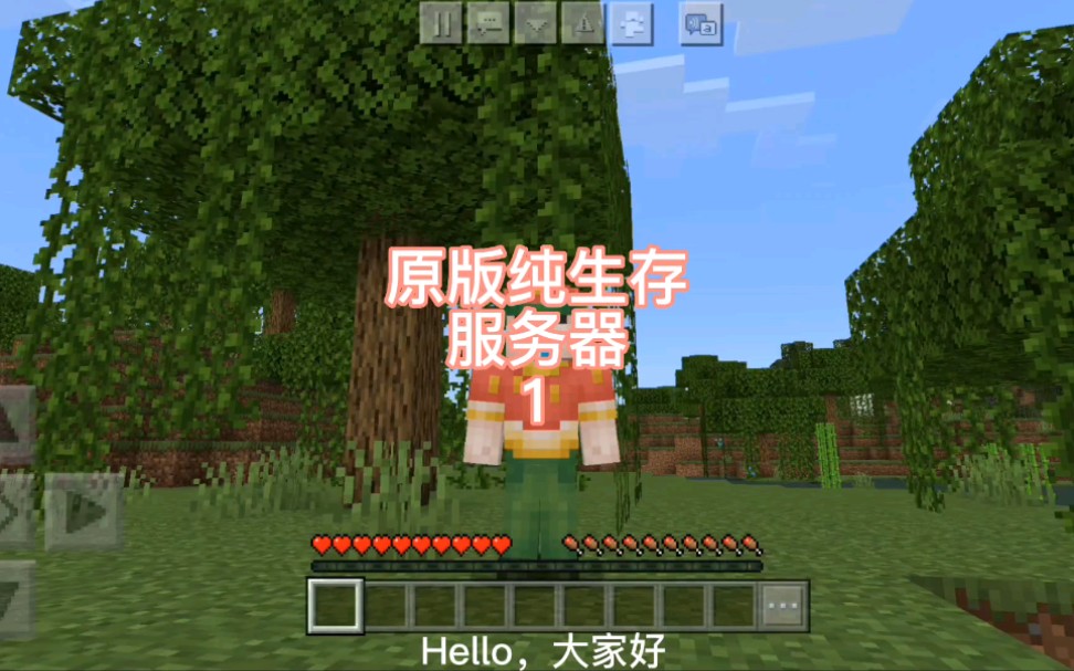 我的世界：原版纯生存服务器1