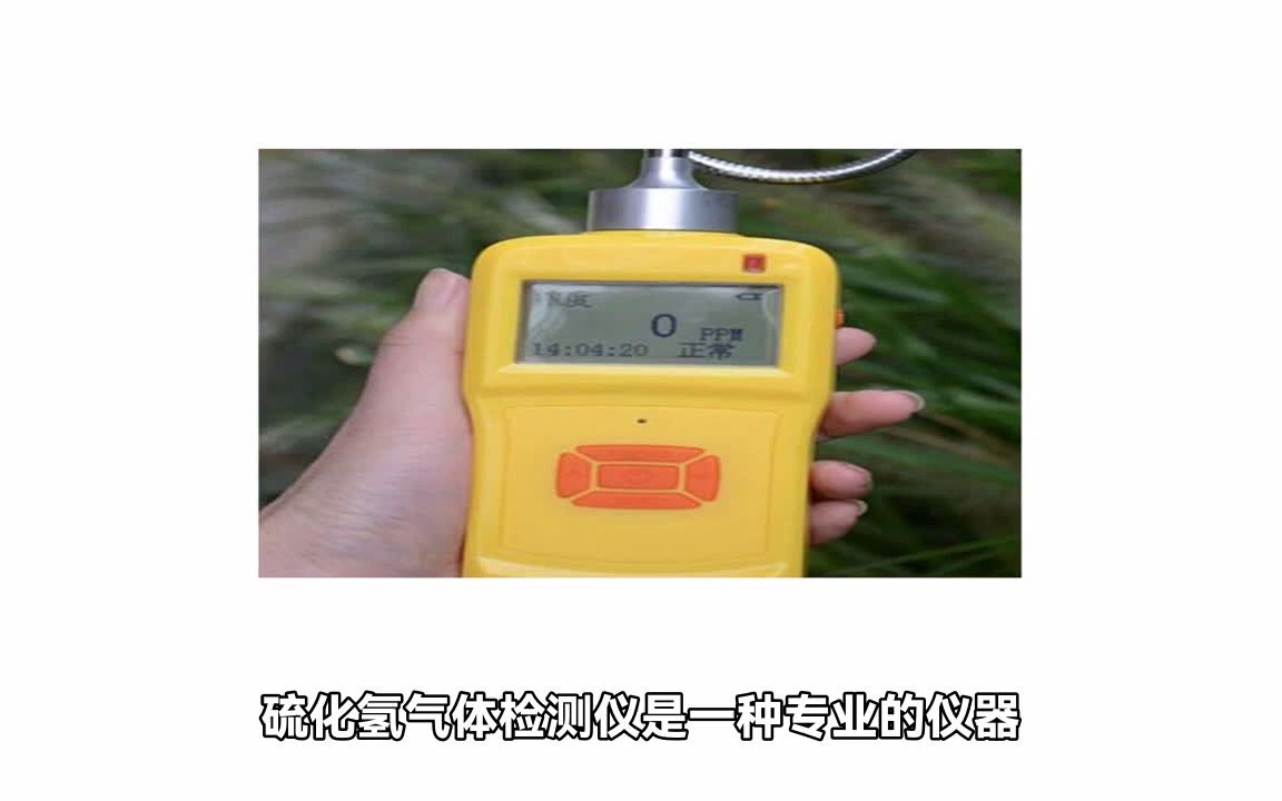硫化氢气体检测仪0100ppm的应用
