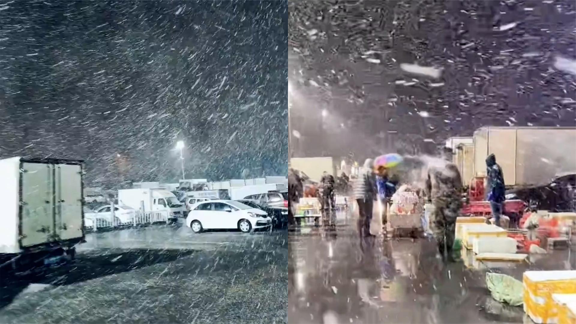 威海又双叒叕下雪了!洗完的羽绒服该拿出来了