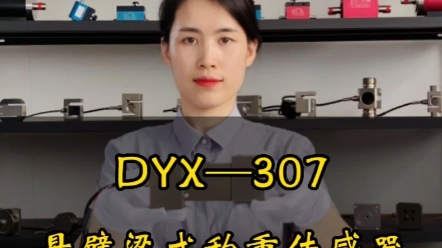 悬臂梁式称重传感器