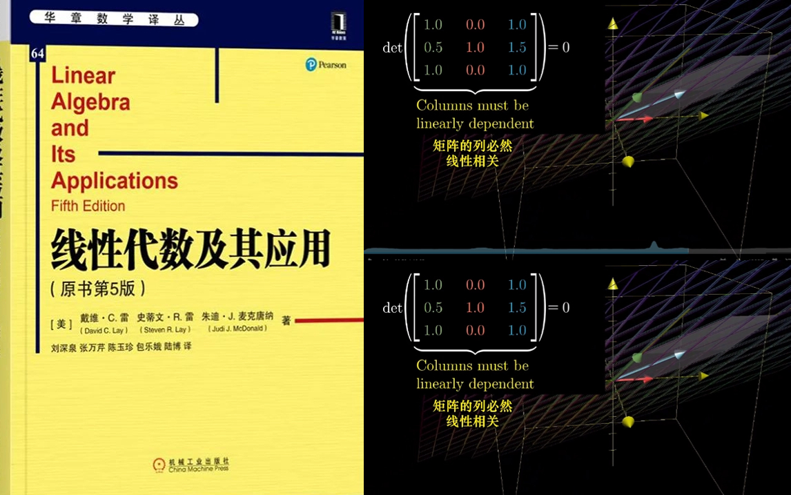 高等数学基础!【线性代数及其应用】一小时带你轻松学透向量!绝对...