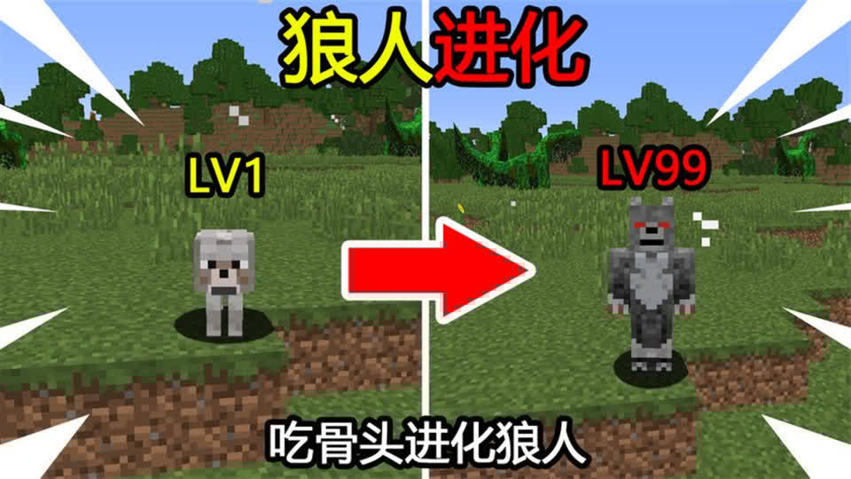 我的世界:狼人进化!每吃10个骨头进化一次