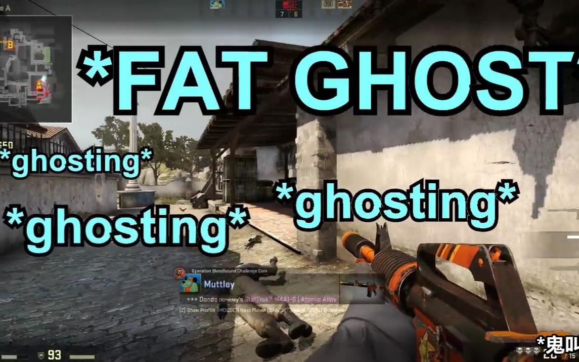 【更新P8】国外UP主的CS:GO搞笑集锦 【P1自制字幕】