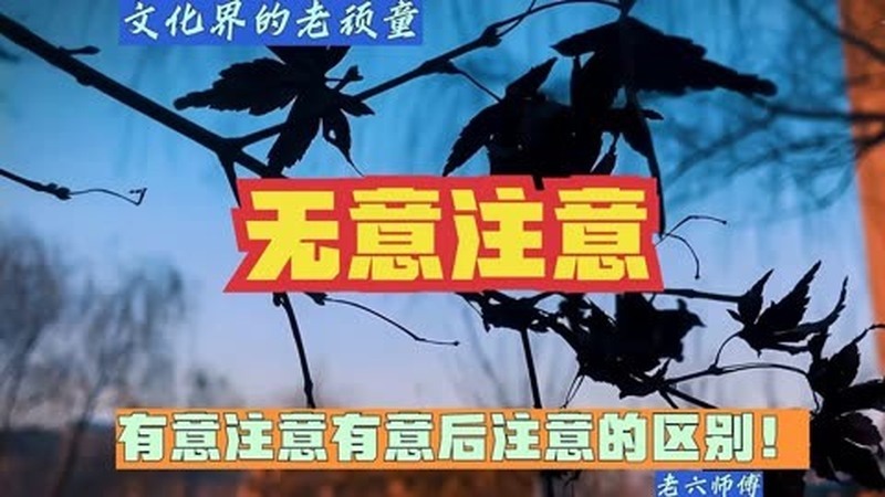 无意注意有意注意有意后注意的区别!