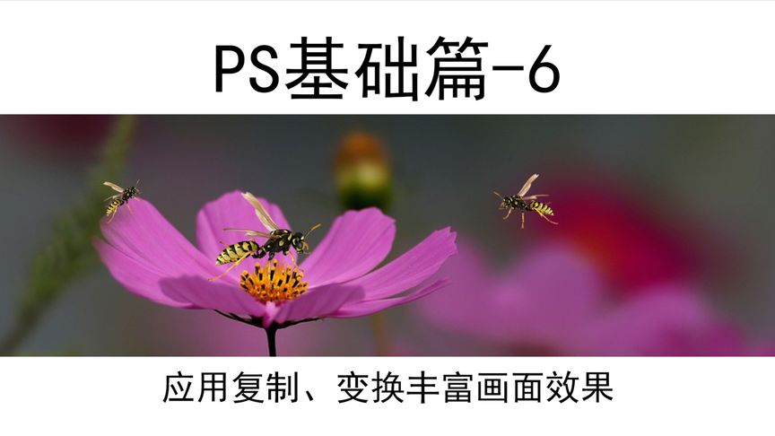 PS基础篇-6,应用复制、变换丰富画面效果