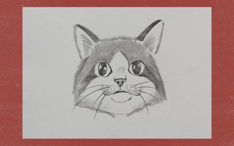 简笔素描教程,画一只猫猫。