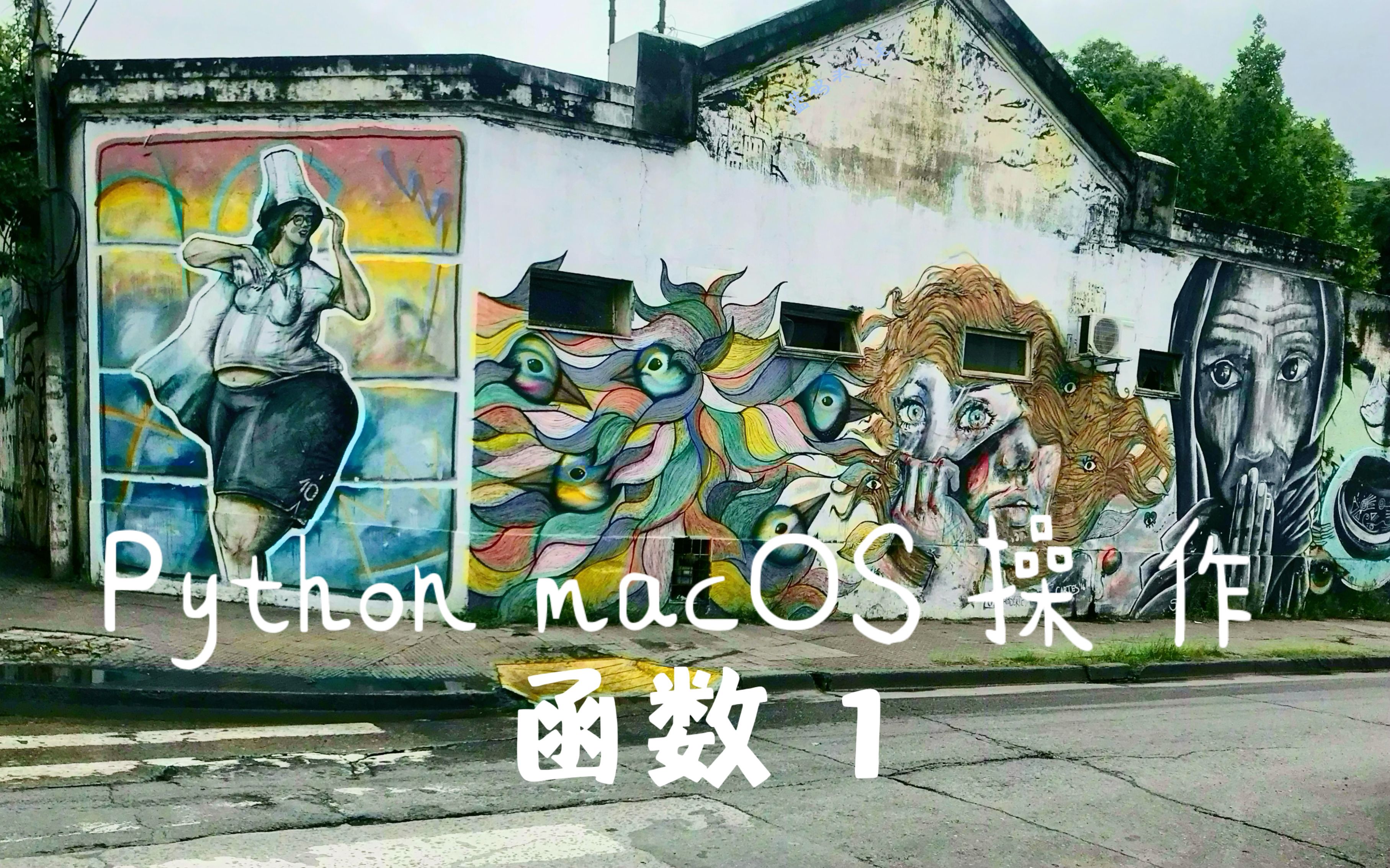 [Python基础] 27 函数 1