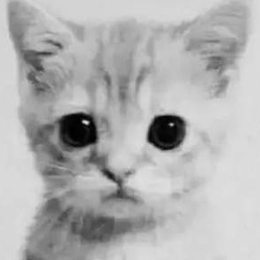 伤感小主 