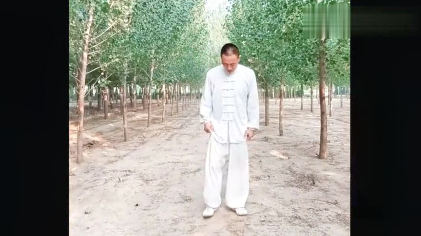 民间八级拳高手现场演练八极拳零基础教学,慢动作教学详解!