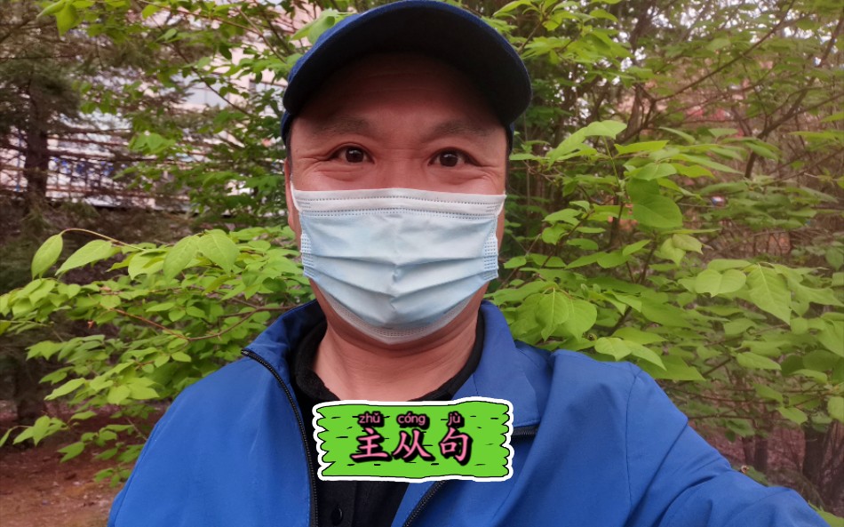 一招掌握主从句。