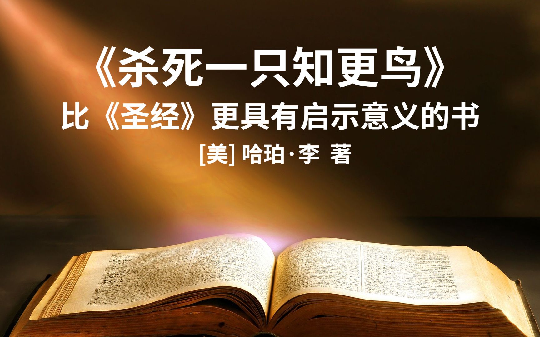杀死一只知更鸟:比《圣经》更具有启示意义的书