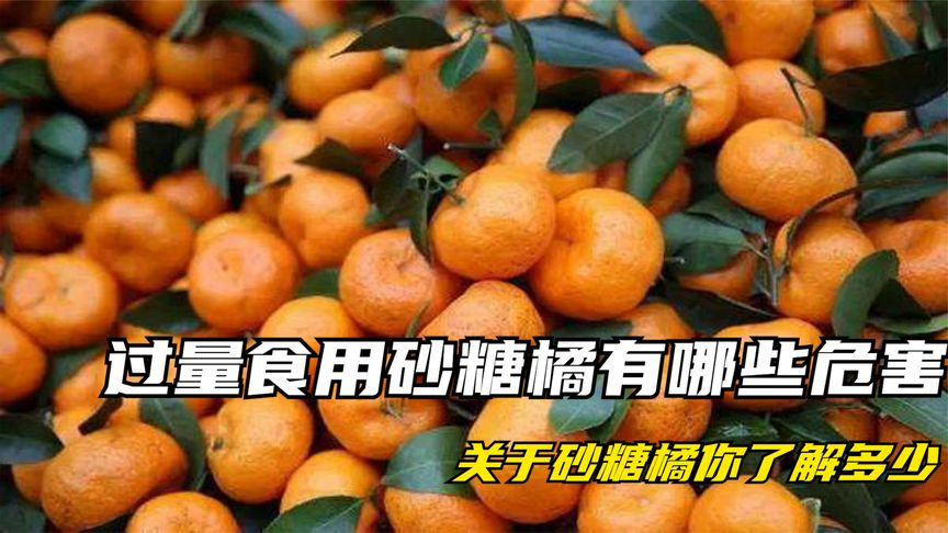 砂糖橘为何被称“杀人橘”?吃多了脸会变黄?过量食用会发生什么