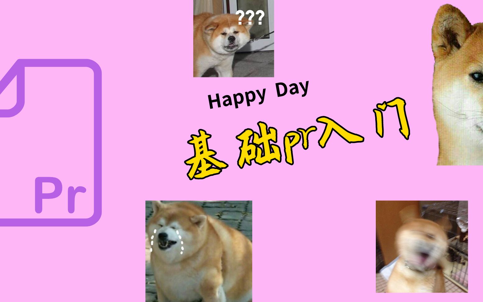 pr萌新入门-序列预设