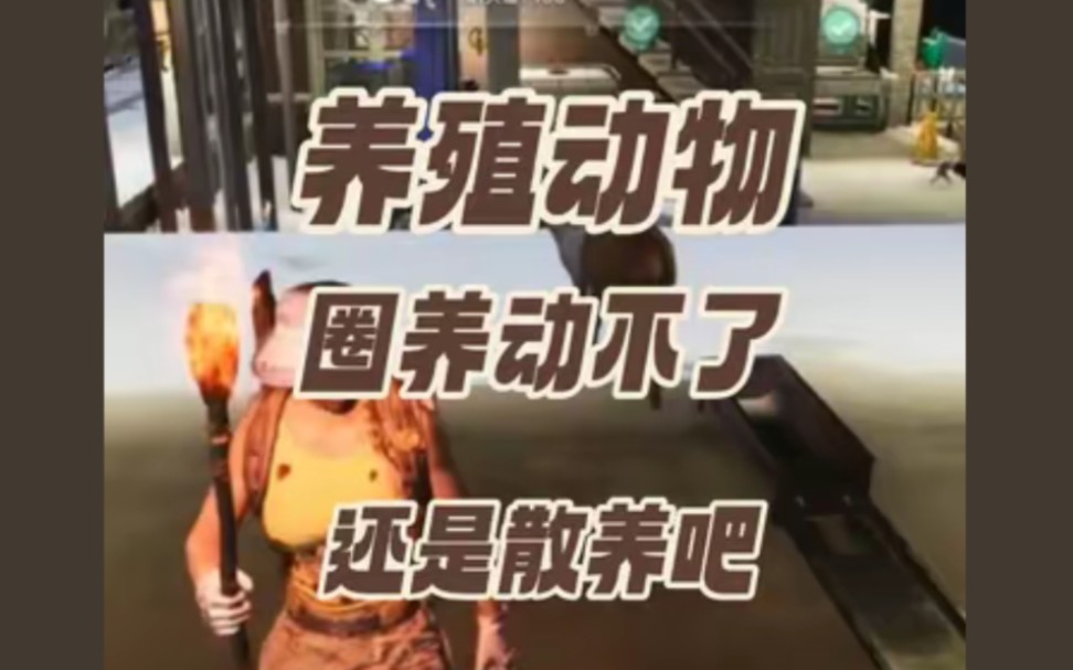 【七日世界】七日世界动物动不了,那就散养吧